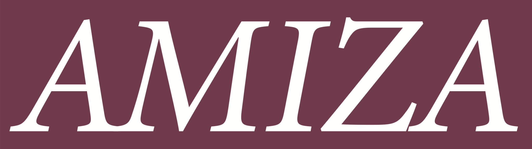 フロントページ - 株式会社アミザ